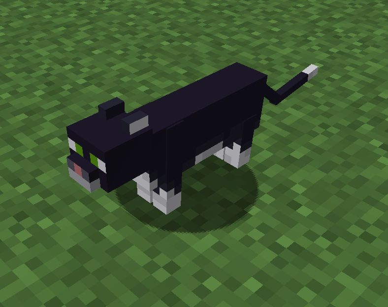Vorplex | Individual Pets