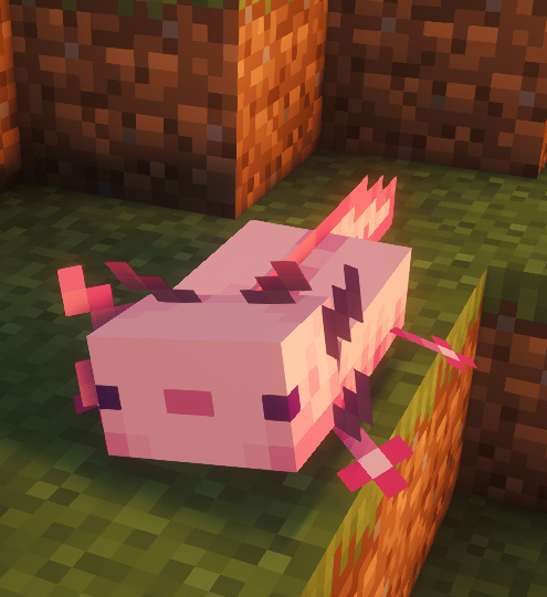 Vorplex | Individual Pets