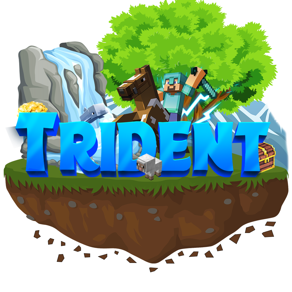 store.trident-mc.com | Acasa