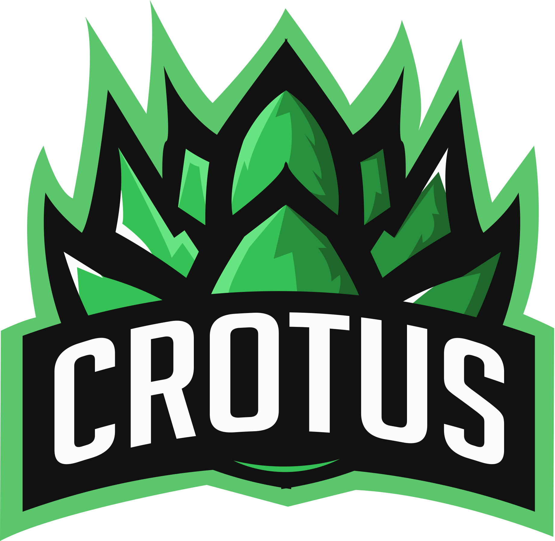 Crotus | Home
